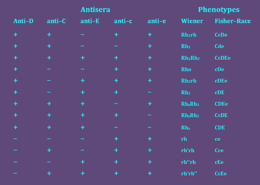 Lecture Notes in Medical Technology: Lecture #5: Rh/Hr BLOOD GROUP SYSTEM