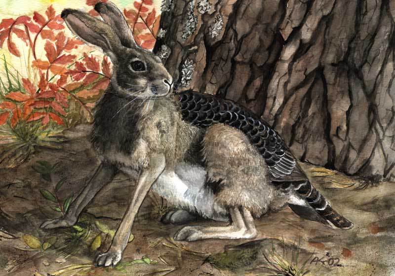 Kriptozoológia: Skvader