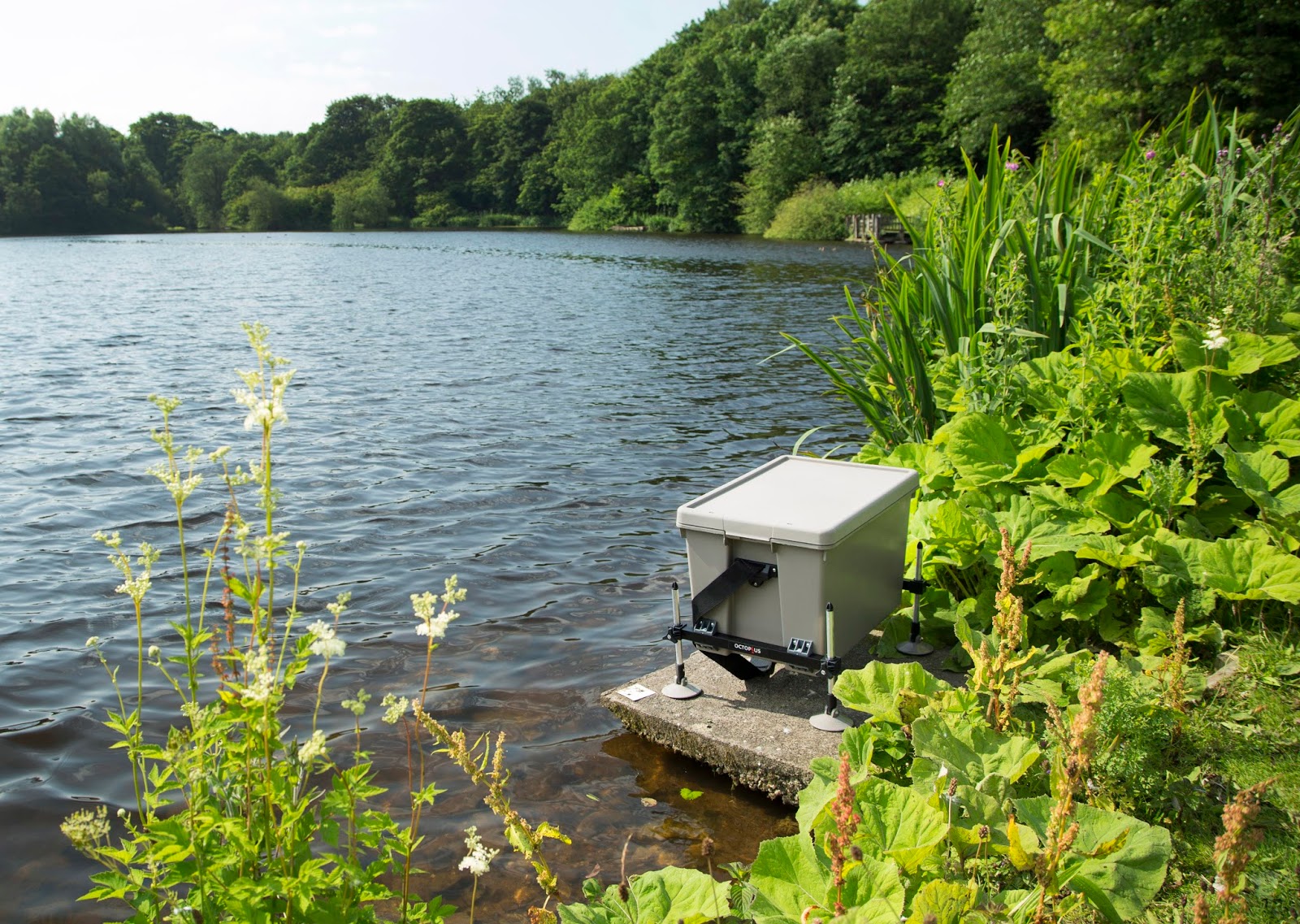 Danny's Angling Blog: Octoplus Infinity Box Review and River Roach On ...