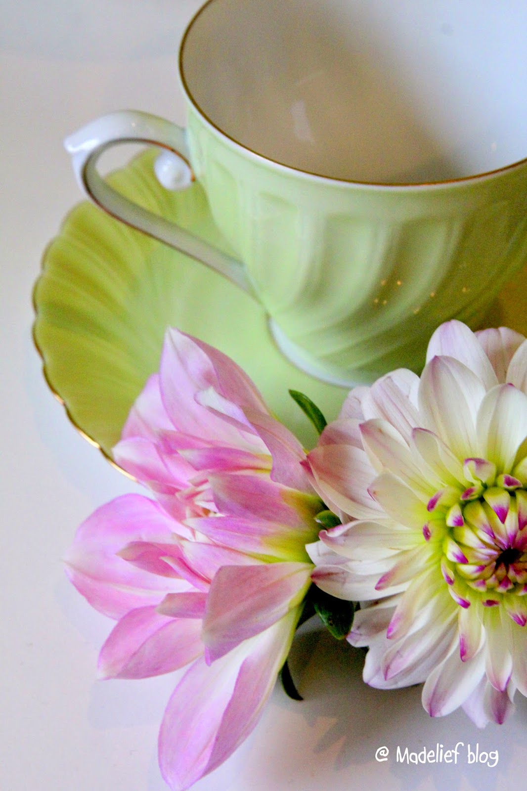 Madelief: Tea anyone?