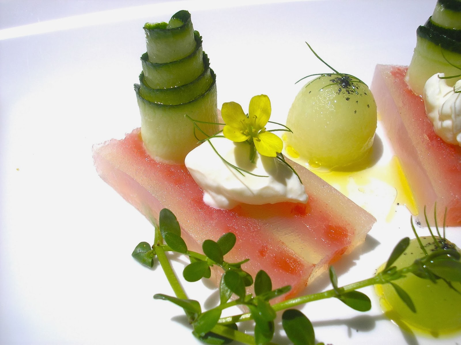 food play: ' CUCUMBER and MELON TERRINE