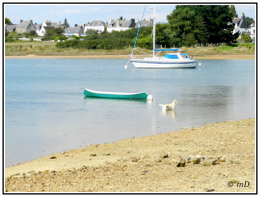 Le Jardin de Titi: Un jour à Riantec