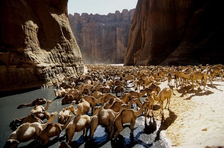 mother nature: Ennedi Plateau and Guelta d'Archei, Chad