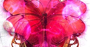 BooksChatter: ☀ First Love: Epic Romance Anthology [1] - A.M. Cummins ...