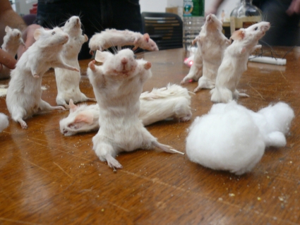 Jack is Boring, Boring, Boring.