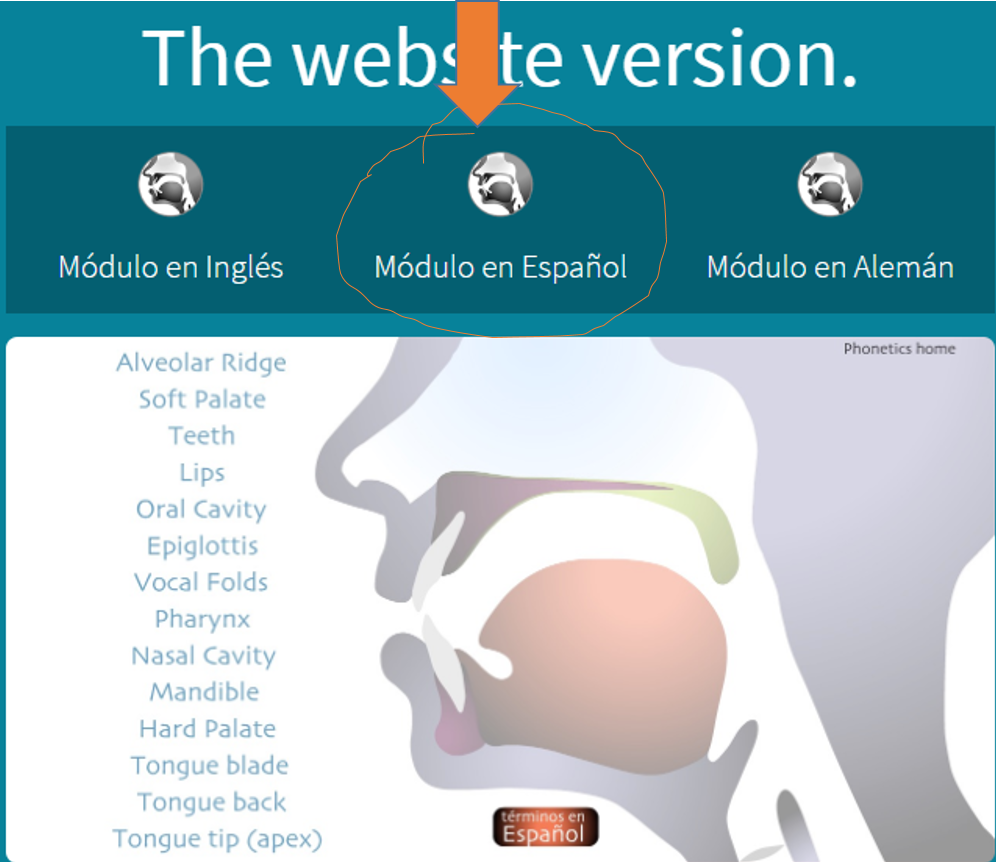 APRENDE ESPAÑOL FÁCIL: Fonética Española Práctica