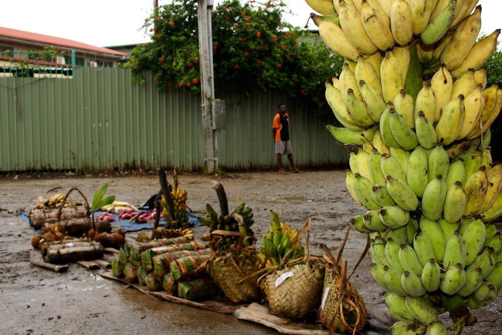 Malum Nalu: The heartbreak of Daru