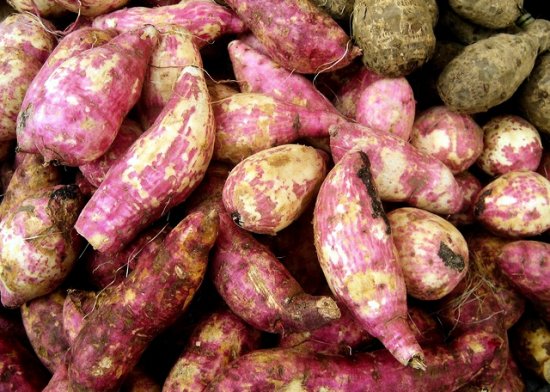 Life in the Philippines: The humble kamote