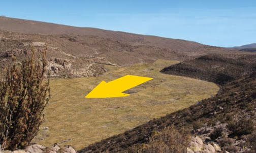 NephiCode: The City of Bountiful in the Land of Bountiful