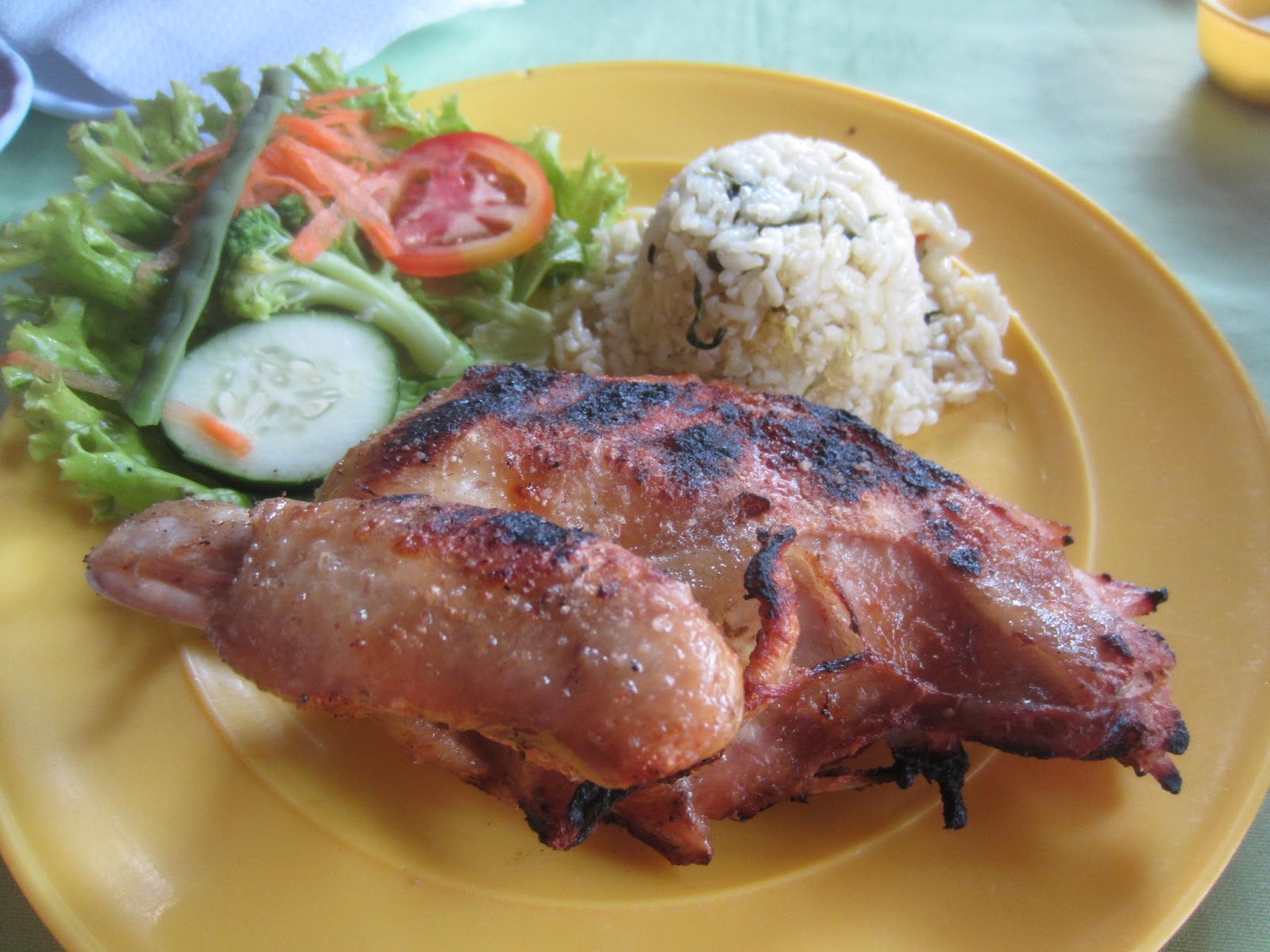 A Salvadorian Summer - 2013: July 23, Day 31: La Gallina India