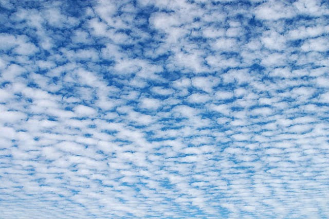 GAIA MISIONES: Una guía práctica para diferenciar los distintos tipos ...