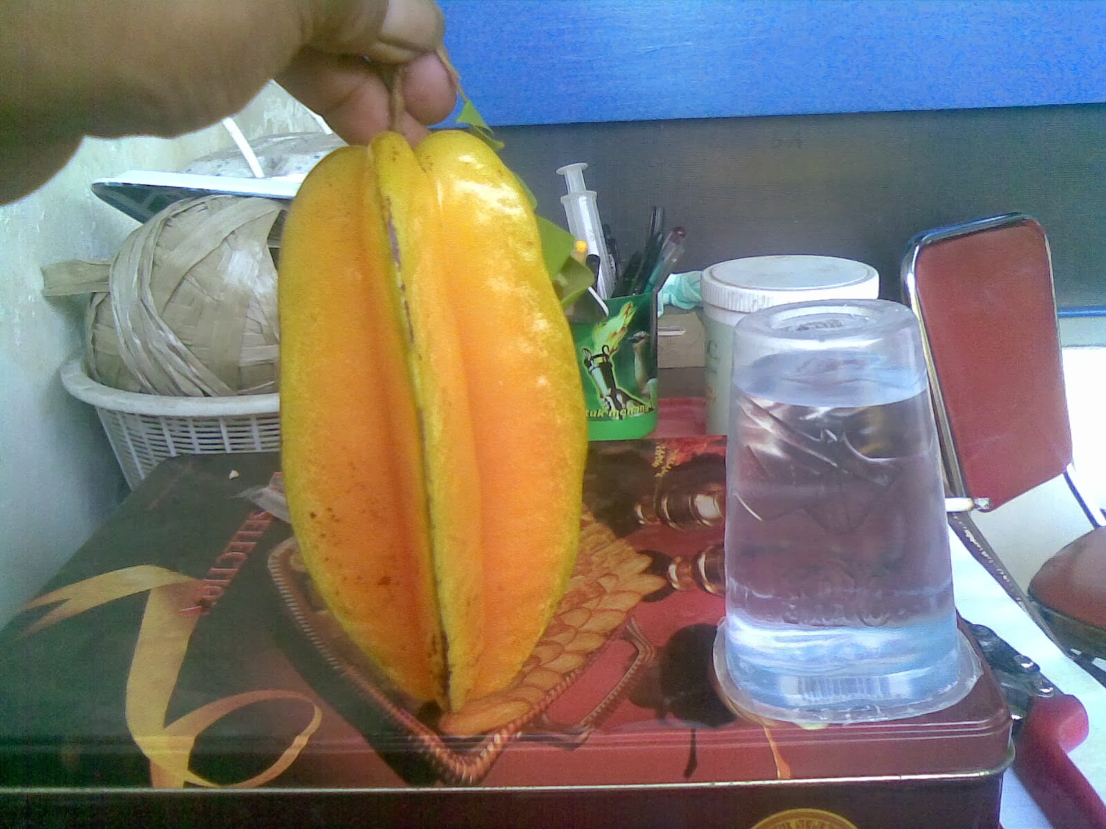 Bibit Tanaman Buah Langka Unggul Daerah Kota Blitar Jenis Lokal ...