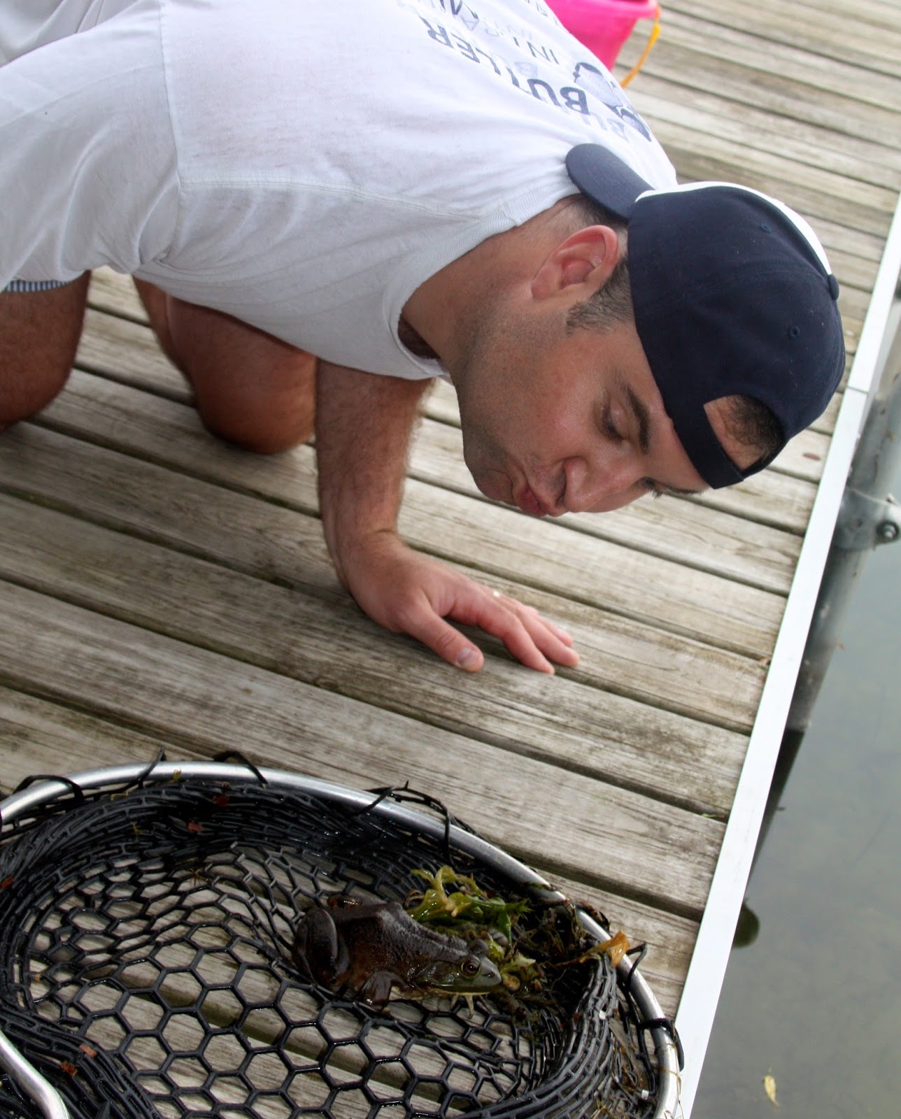 The Evolving Elseners: Bullfrog Hunting