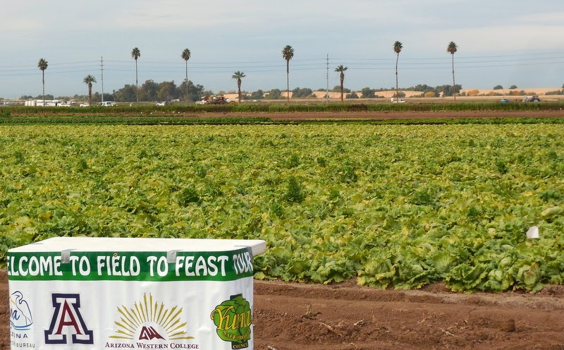 RVino: Where does your food come from?...Yuma!