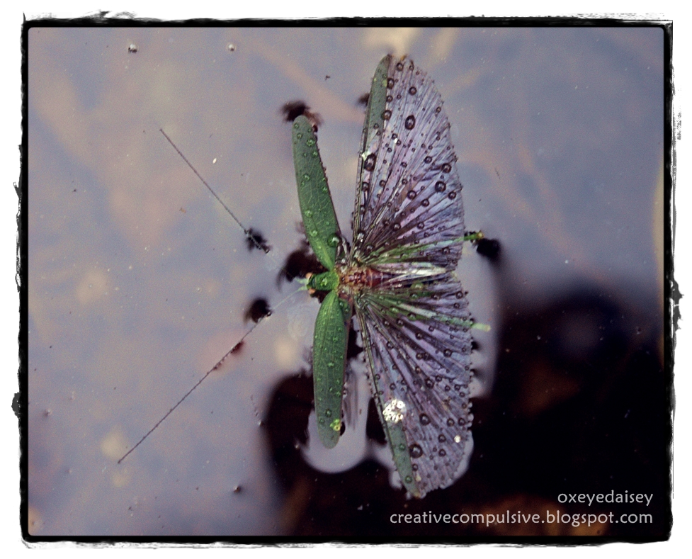 Creative Compulsive: November 2012