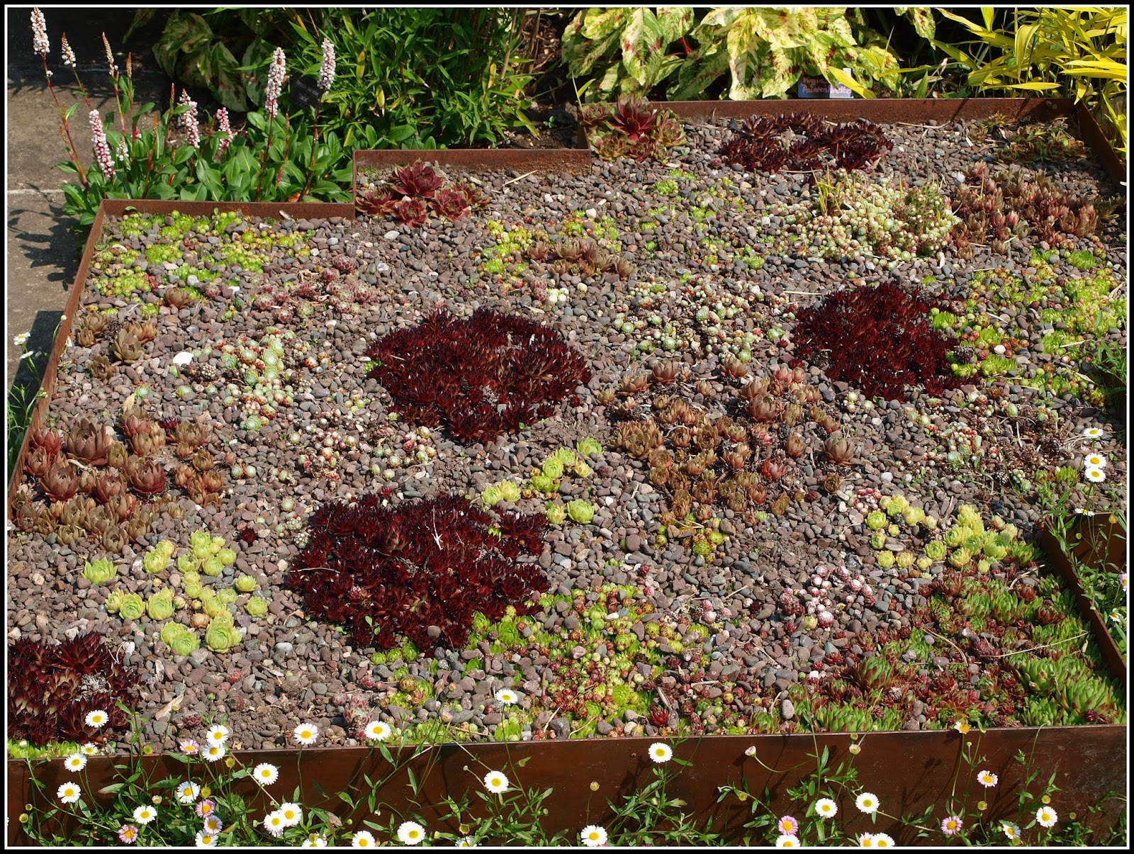 Mark's Veg Plot: Dipley Mill