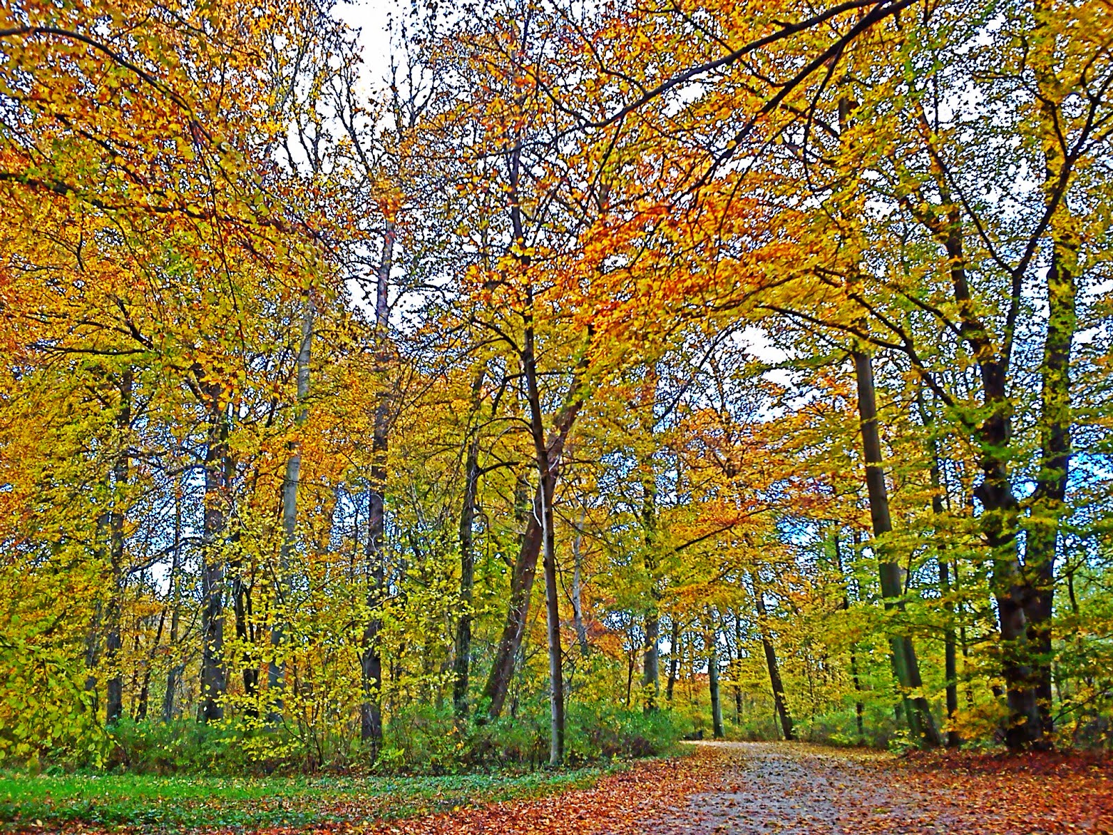 Nanda & Nathan The Travellers: Fall Foliage in Munich, Germany