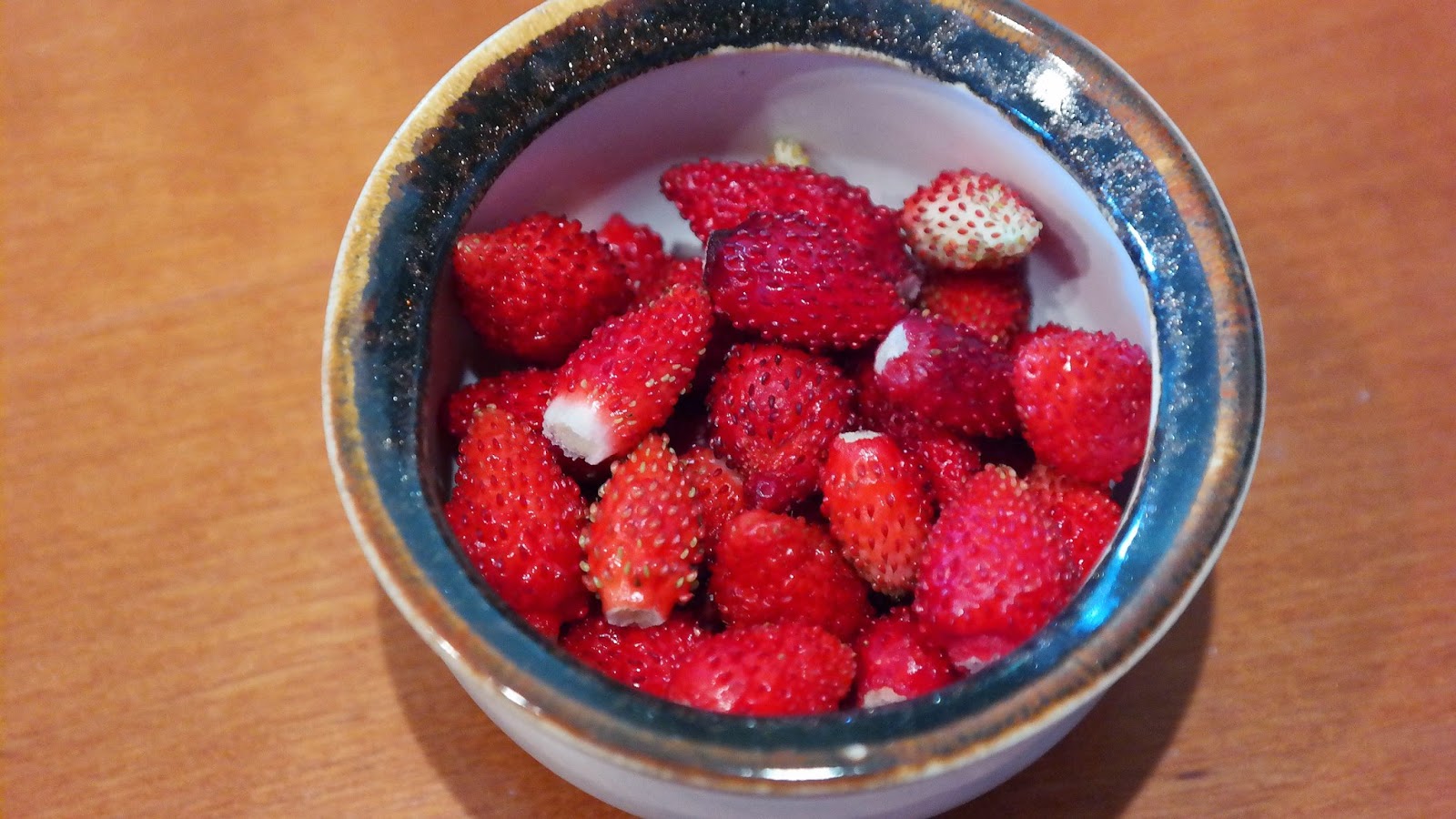 CZPOHÁDKA: Lesní jahody