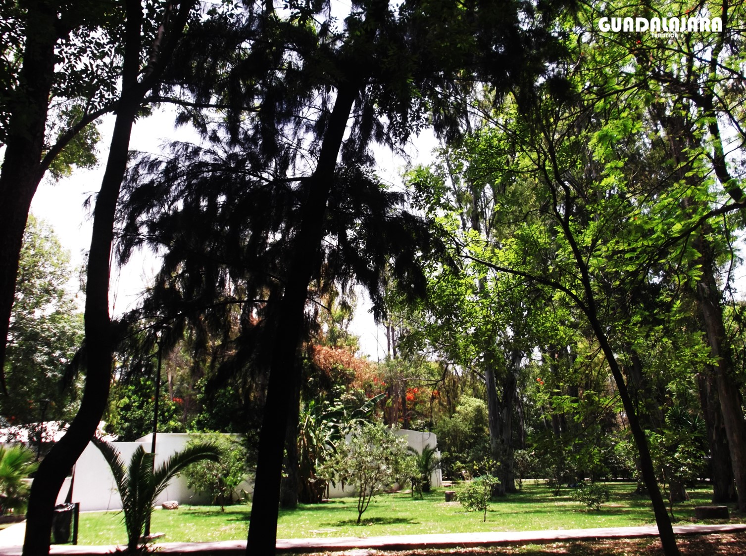 Agencia de Viajes Guadalajara Turística: Parque Agua Azul