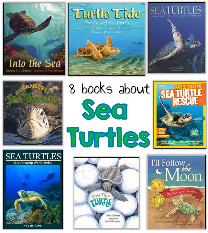 Mrs. Thompson's Treasures : I Know About Sea Turtles: Research Fun!