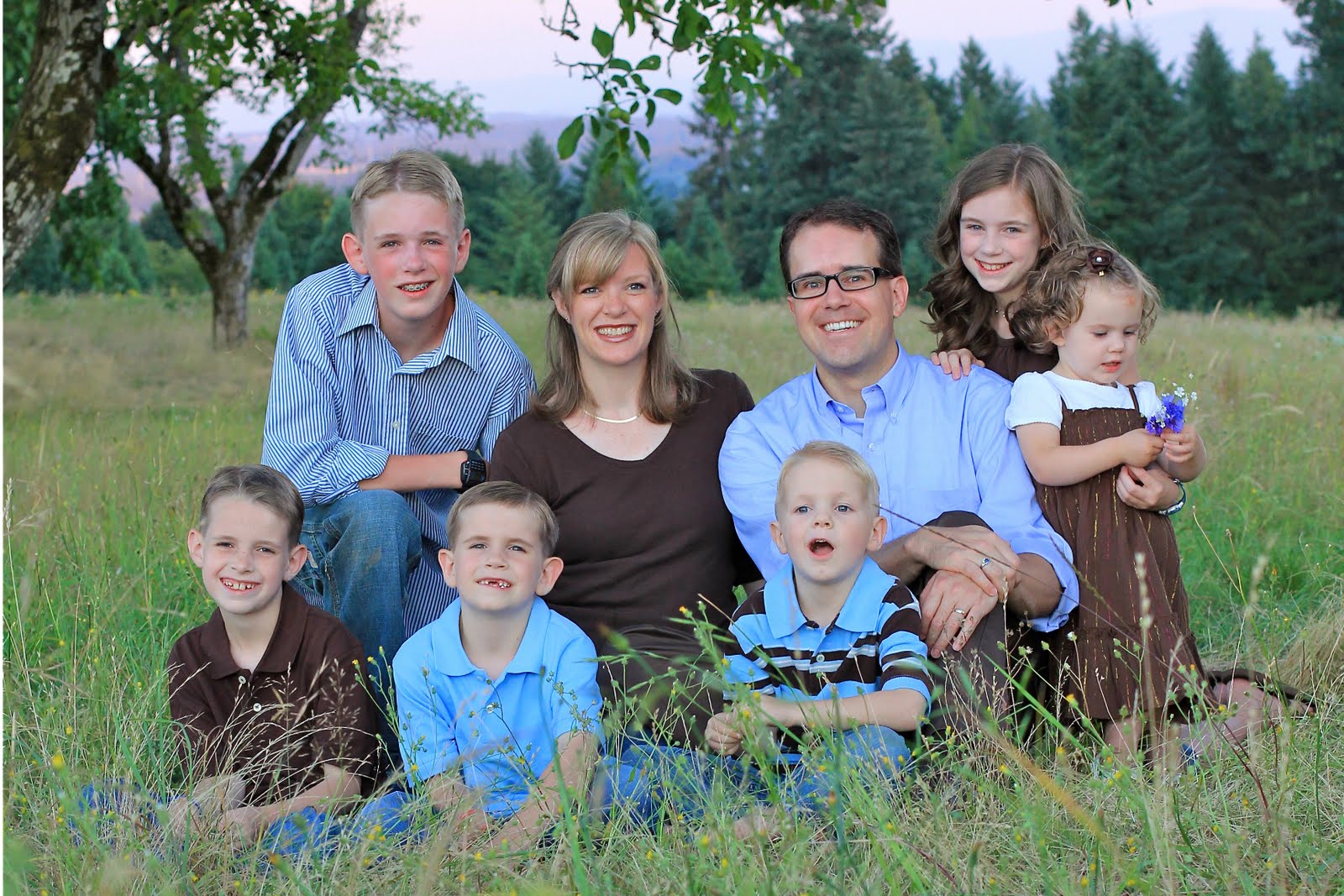 dahls in detail: 2011