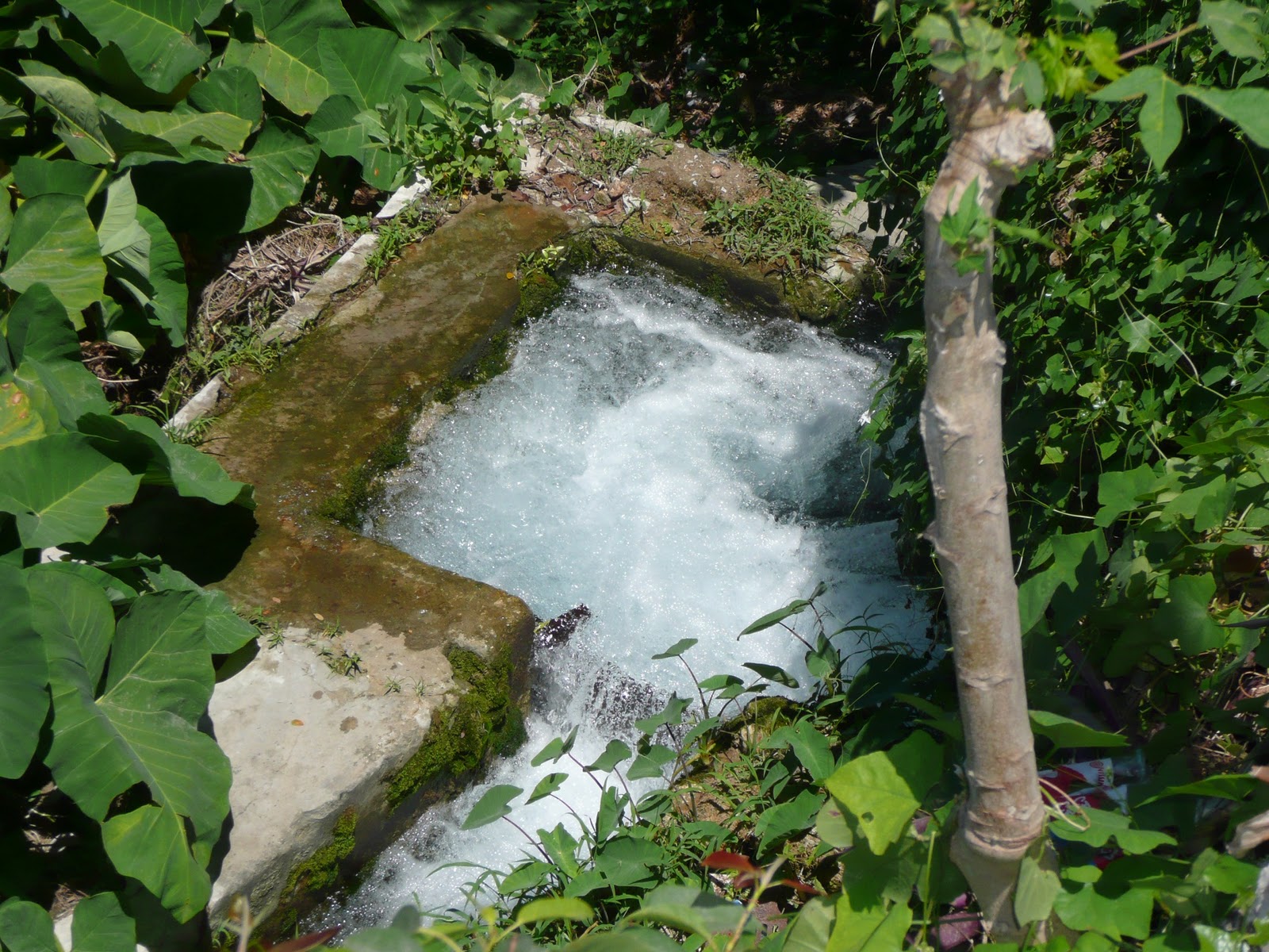 Mutterings of a Mid-Aged Mutt: Timor-Leste's Revealing Road Show