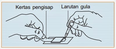 BIOLOGI GONZAGA: PRAKTEK SEL KRENASI DAN PLASMOLISIS