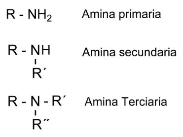 QUIMICA ORGANICA !!: 5. AMINAS: