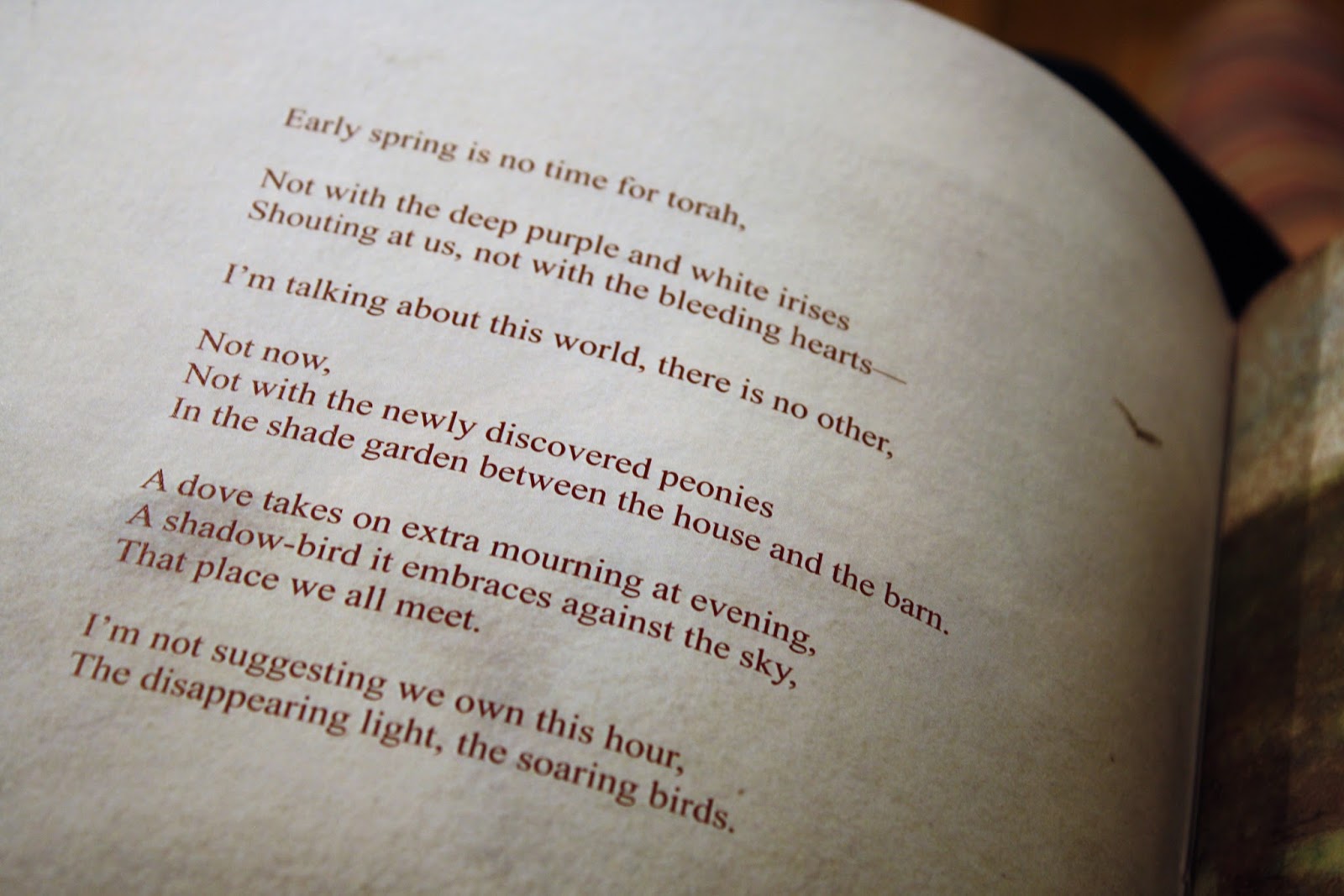 poetry with jennifer hetrick ♥: dr. philip terman shares poetry ...