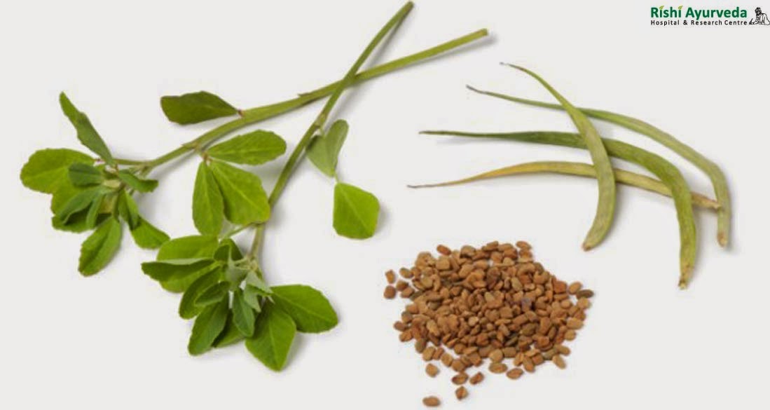 Rishi Ayurveda Hospital and Research Centre: Health Benefits of Methi