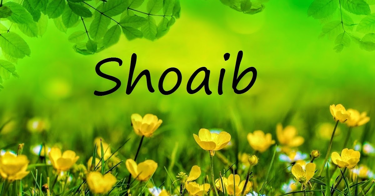 Shoaib Name Wallpapers Shoaib ~ Name Wallpaper Urdu Name Meaning Name ...