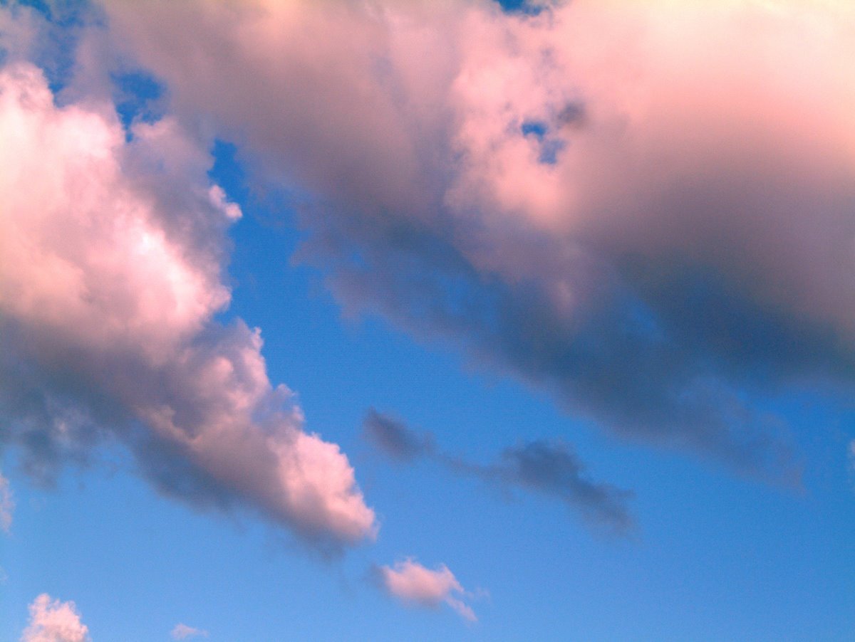 CAMERA EN KWAST: Een roze wolk