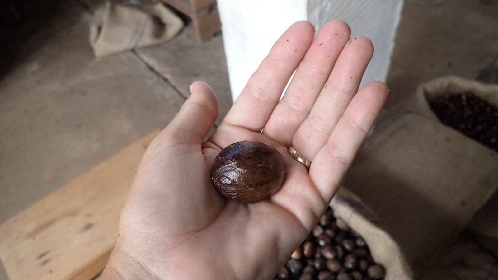 Things we did today...: Saving The Best For Last