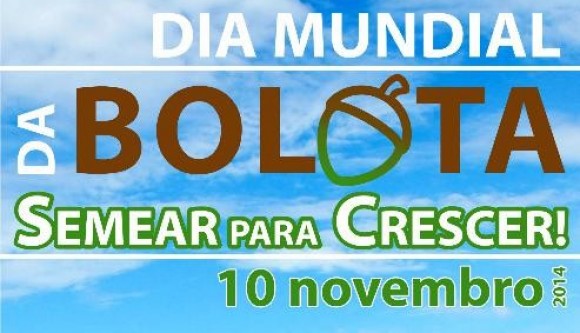 DALVA DAY: * 2016 - Dia Mundial da Bolota DALVA DAY: * 2016 - Dia Mundial da Bolota