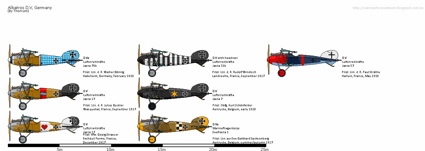 War Machines Drawn: Albatros D.V - German users, part five