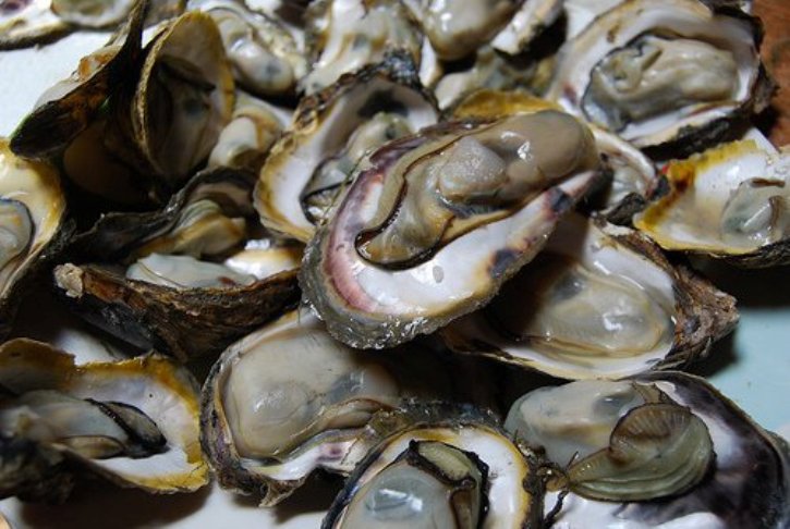 You Know You're From Bacolod, Philippines If...Gakaon ka TALABA! ♥