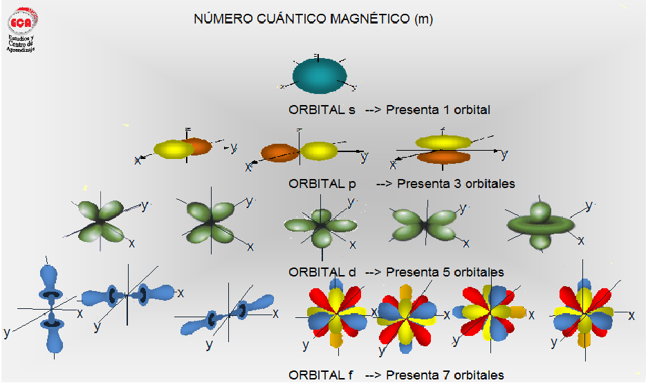 QUÍMICA ECA Enseñanza media: NÚMERO CUÁNTICO MAGNÉTICO (m)