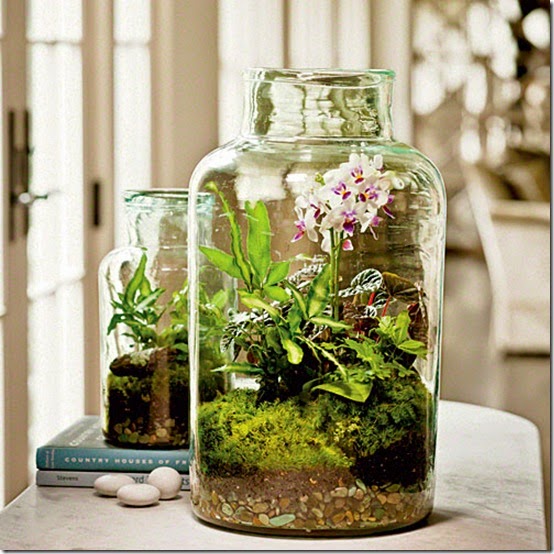 Cara Membuat Miniatur Ekosistem Hutan - Maz Ipin