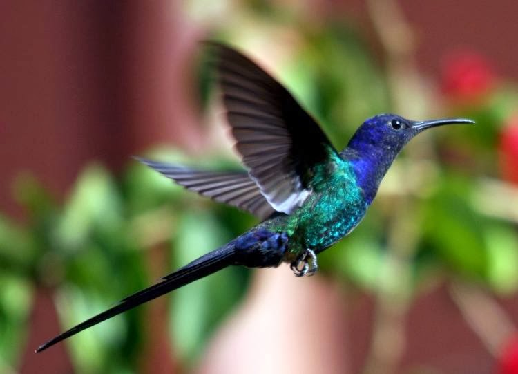 Ludugero desde que me entendo por Ludugero: AZINHAVRES, por João Maria ...