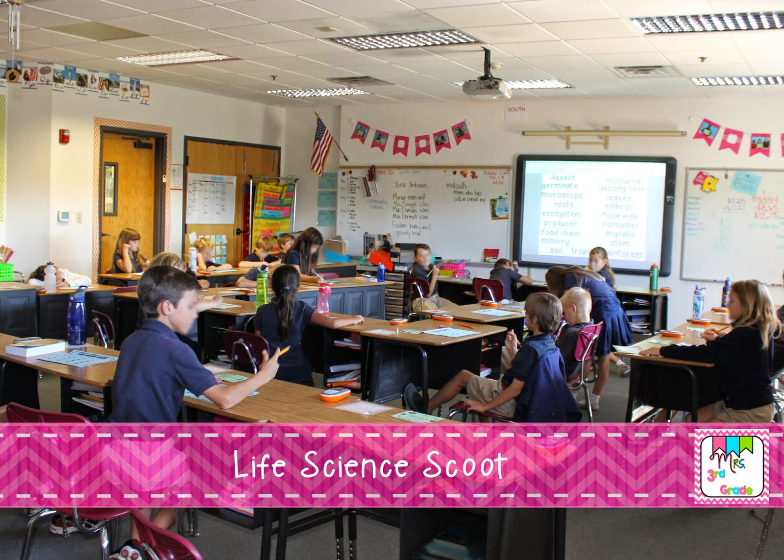 Life Science Test Review - Cassandra Hathaway