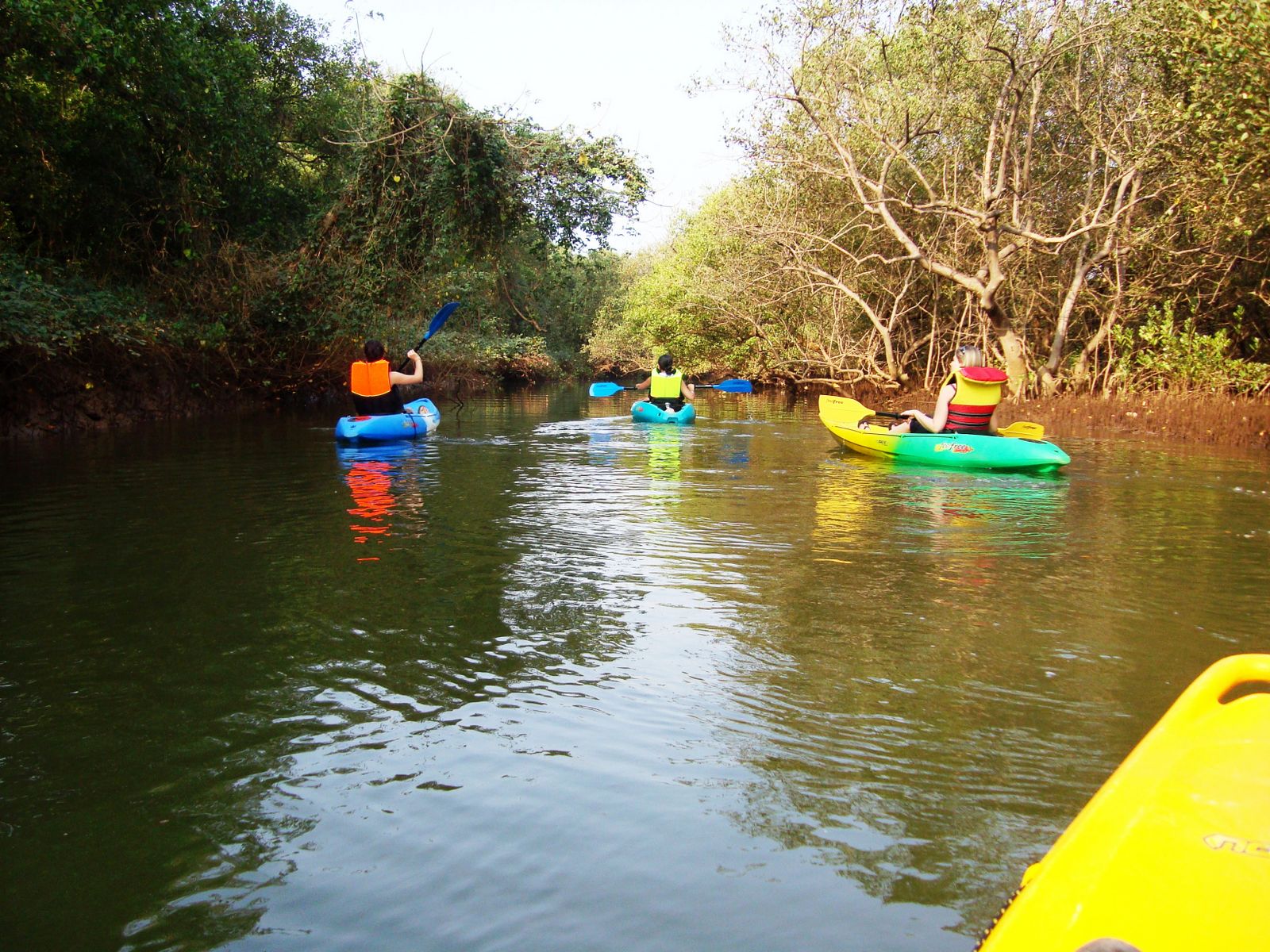 goakayaking: Goa Kayaking's Monsoon Magic!