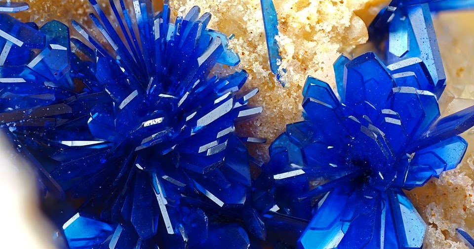 Azurite Crystal Flowers - Geology In