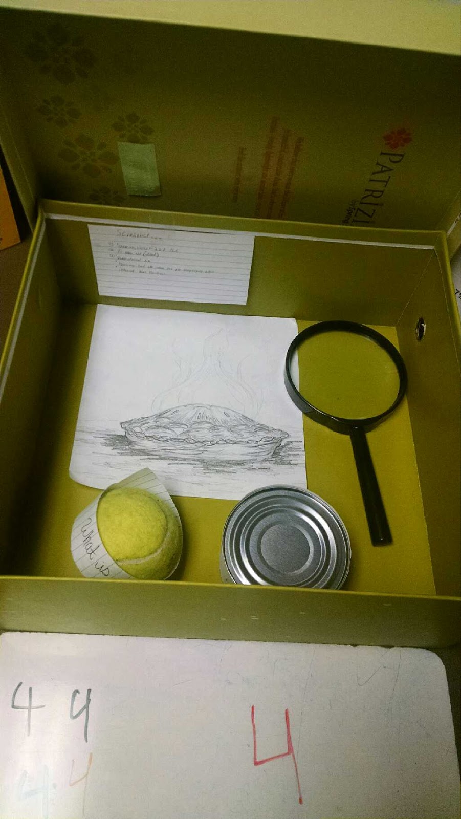 Golden Grasses: Shoebox Scientist - Challenge B