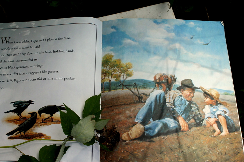 Books and Umbrellas: All the Places to Love by Patricia Maclachlan ...