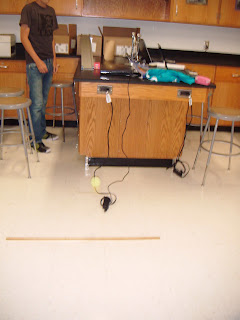 Physics: Tennis Ball Lab Report