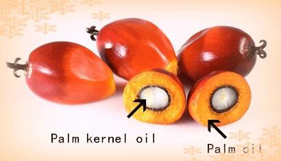palm oil machine: palm oil machine, palm kernel oil machine,palm oil ...