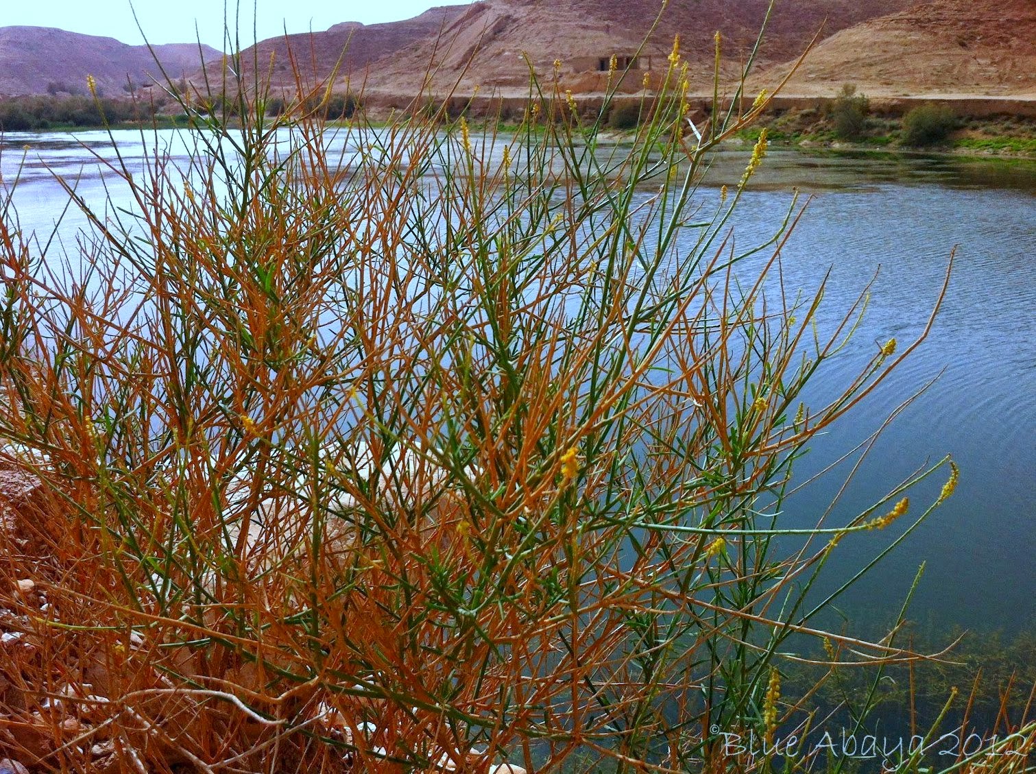 THINGS TO DO IN THE KINGDOM