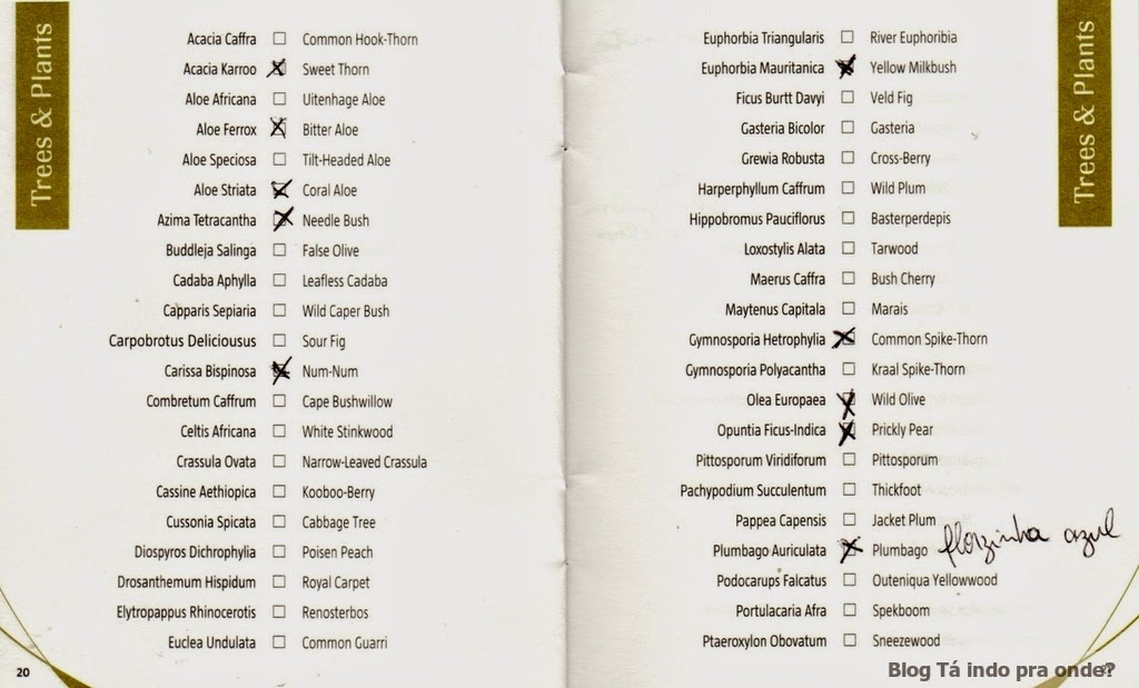 Tá indo pra onde?: Dicas gerais para fazer safáris