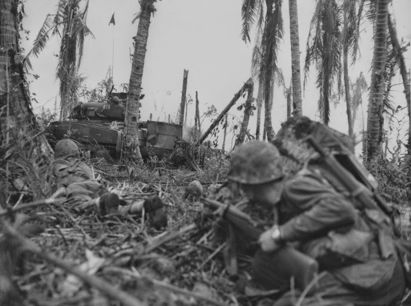 World War II in Pictures: Invasion of Peleliu