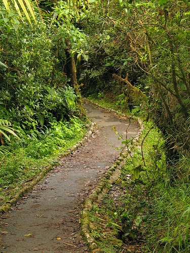 Los Trinos de la Palabra: LA VEREDA